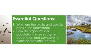 3+Explanation+-+Abiotic+and+Biotic+Factors.pptx