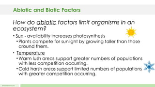 3+Explanation+-+Abiotic+and+Biotic+Factors.pptx
