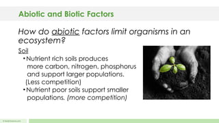 3+Explanation+-+Abiotic+and+Biotic+Factors.pptx