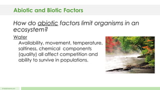 3+Explanation+-+Abiotic+and+Biotic+Factors.pptx