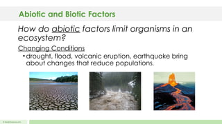 3+Explanation+-+Abiotic+and+Biotic+Factors.pptx