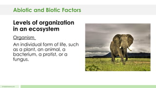3+Explanation+-+Abiotic+and+Biotic+Factors.pptx