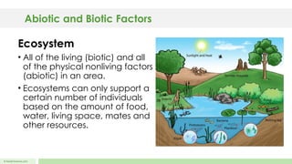 3+Explanation+-+Abiotic+and+Biotic+Factors.pptx