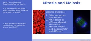 3 Explanation - Mitosis and Meiosis Presentation - Standard Version.pptx