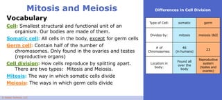 3 Explanation - Mitosis and Meiosis Presentation - Standard Version.pptx