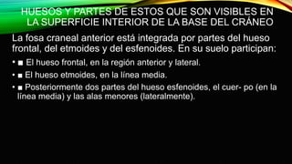 Cabeza osea, cavidad craneal | PPTX