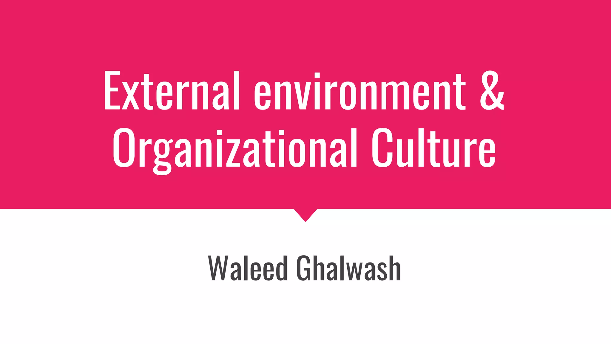 (3) External environment and organizational culture | PDF