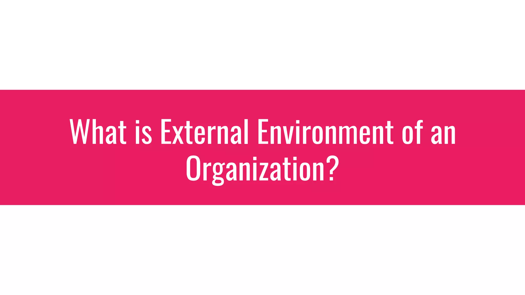 (3) External environment and organizational culture | PDF