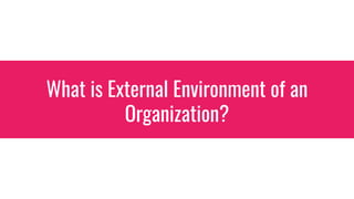 (3) External environment and organizational culture | PDF