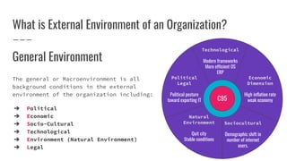 (3) External environment and organizational culture | PDF
