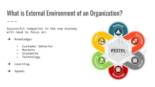 (3) External environment and organizational culture | PDF