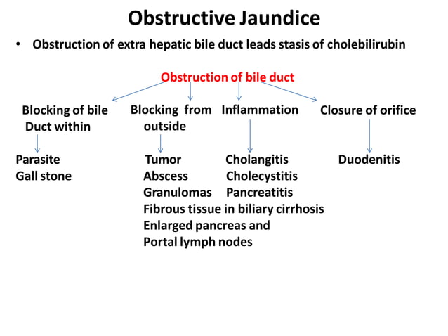 Jaundice pptx Veterinary pathology important | PDF