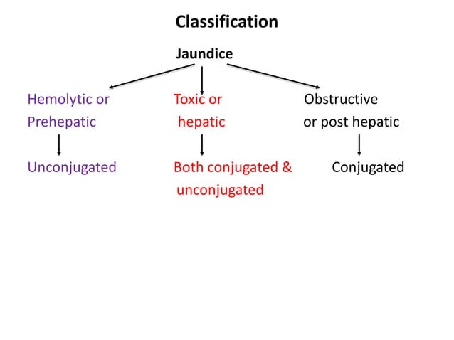 Jaundice pptx Veterinary pathology important | PDF