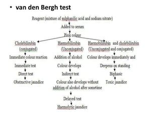 Jaundice pptx Veterinary pathology important | PDF