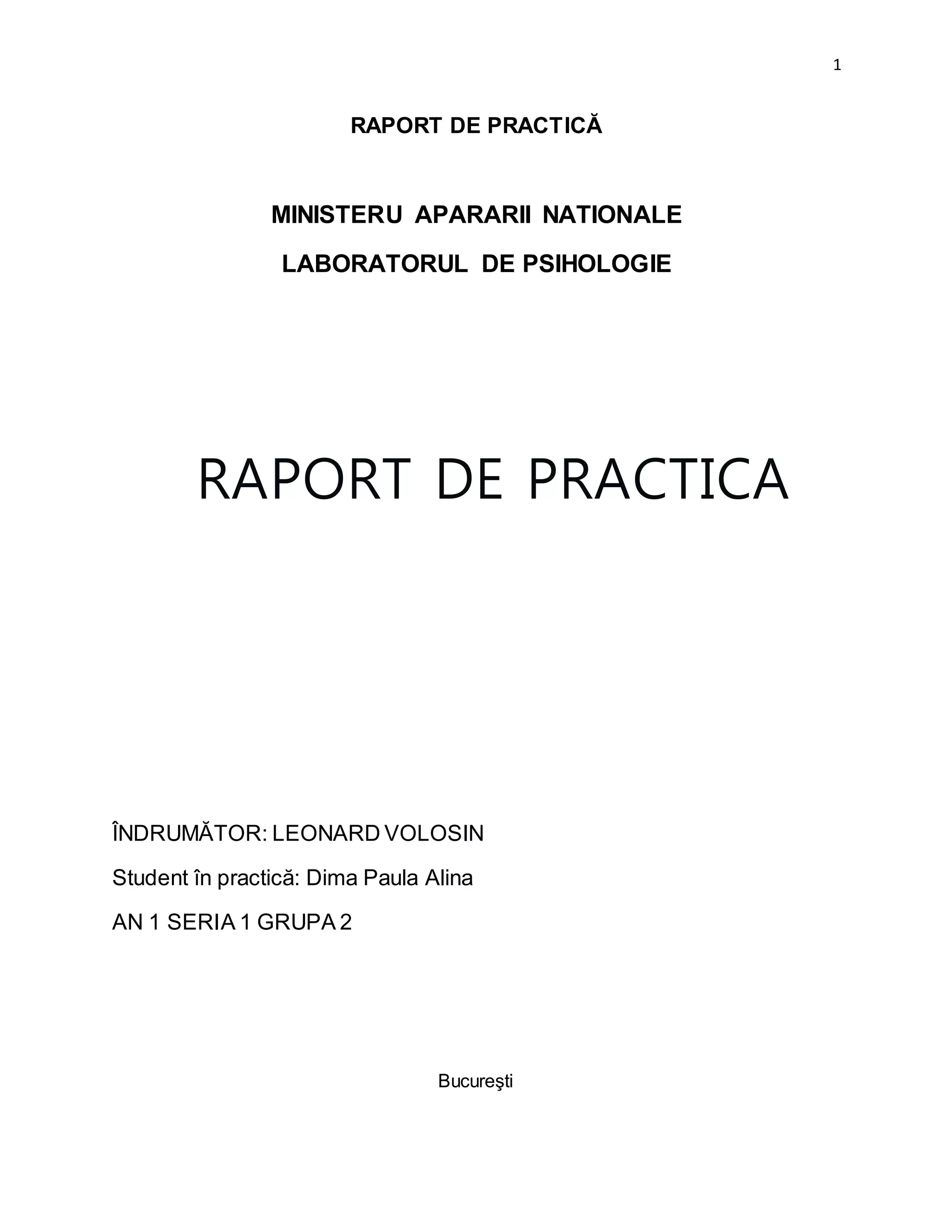 RAPORT DE PRACTICabb | DOCX