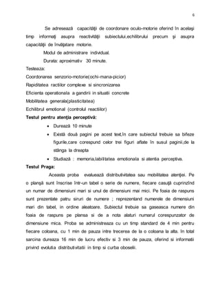 RAPORT DE PRACTICabb | DOCX