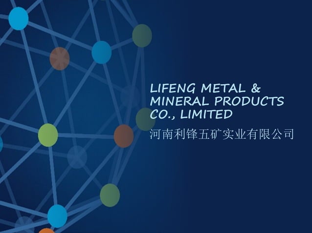 Company Information for LIFENG（EN） | PPT