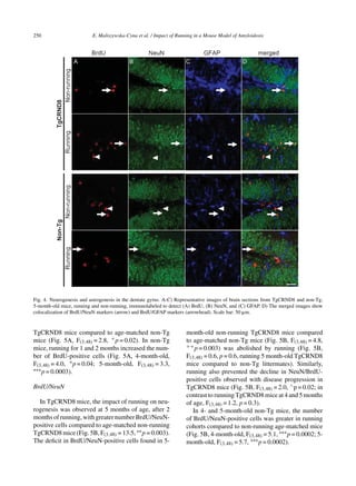 A Comparative Study Evaluating the Impact of Physical Exercise on ...
