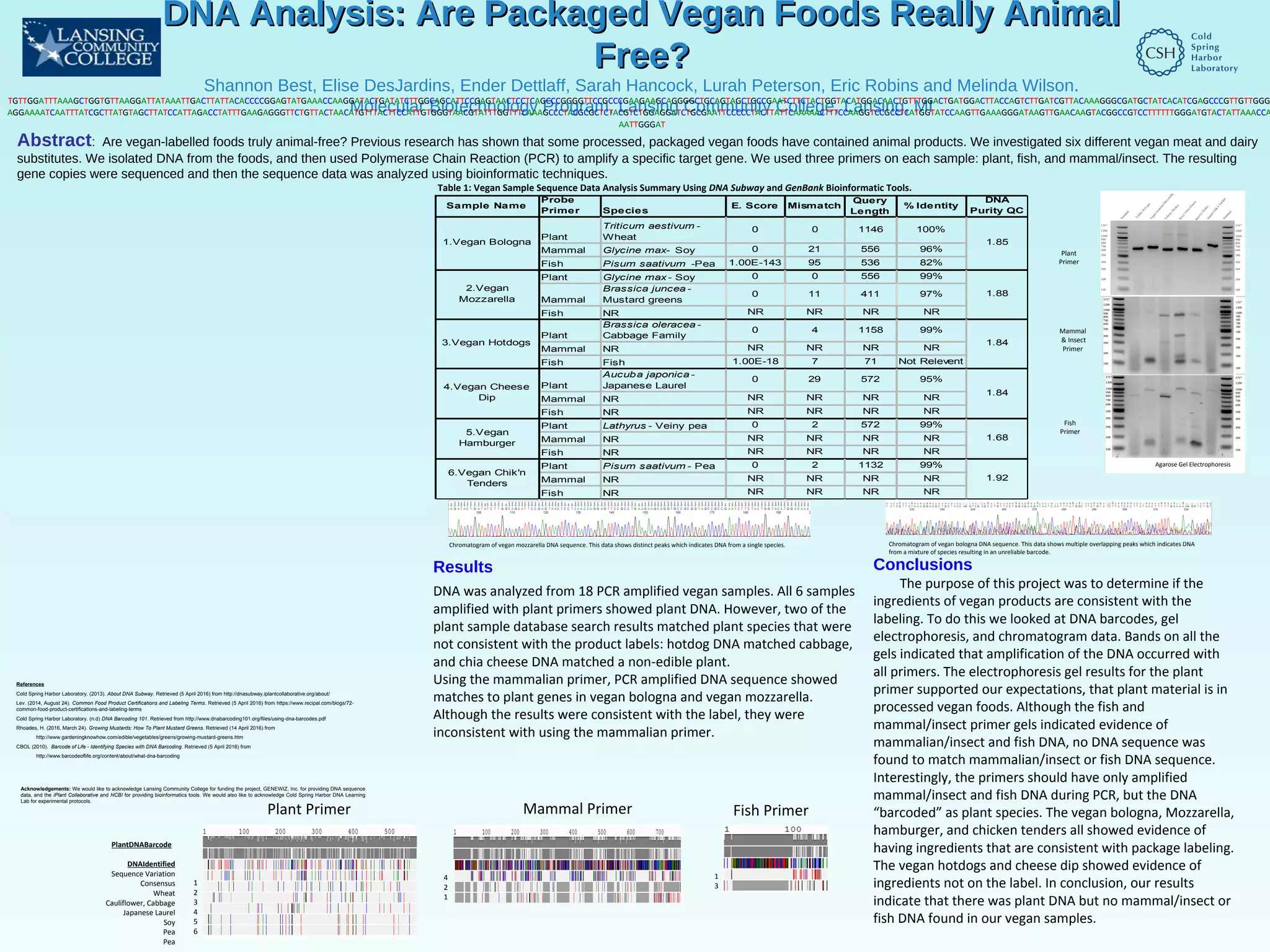 Vegan powerpoint Final | PPT