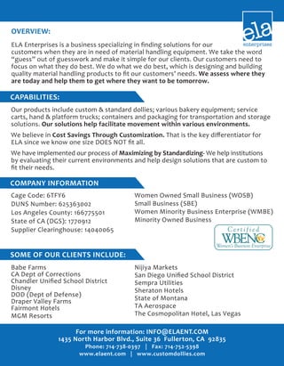Capability Statement Flyer 2015 | PDF