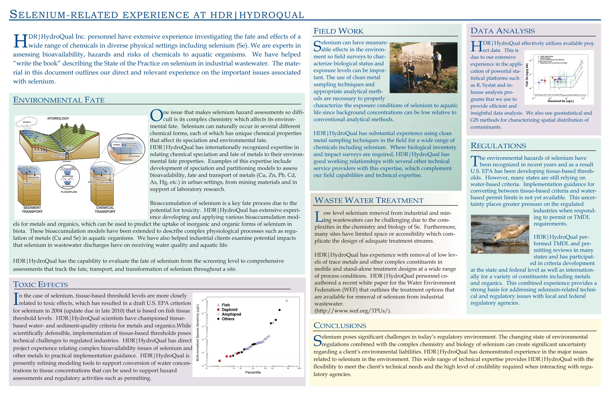 HDR_Hydroqual_selenium_brochure | PDF