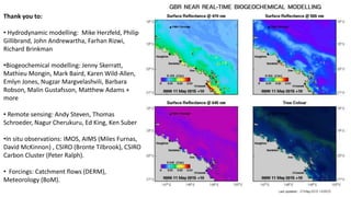C3.07: The use of surface reflectance and simulated true colour to ...
