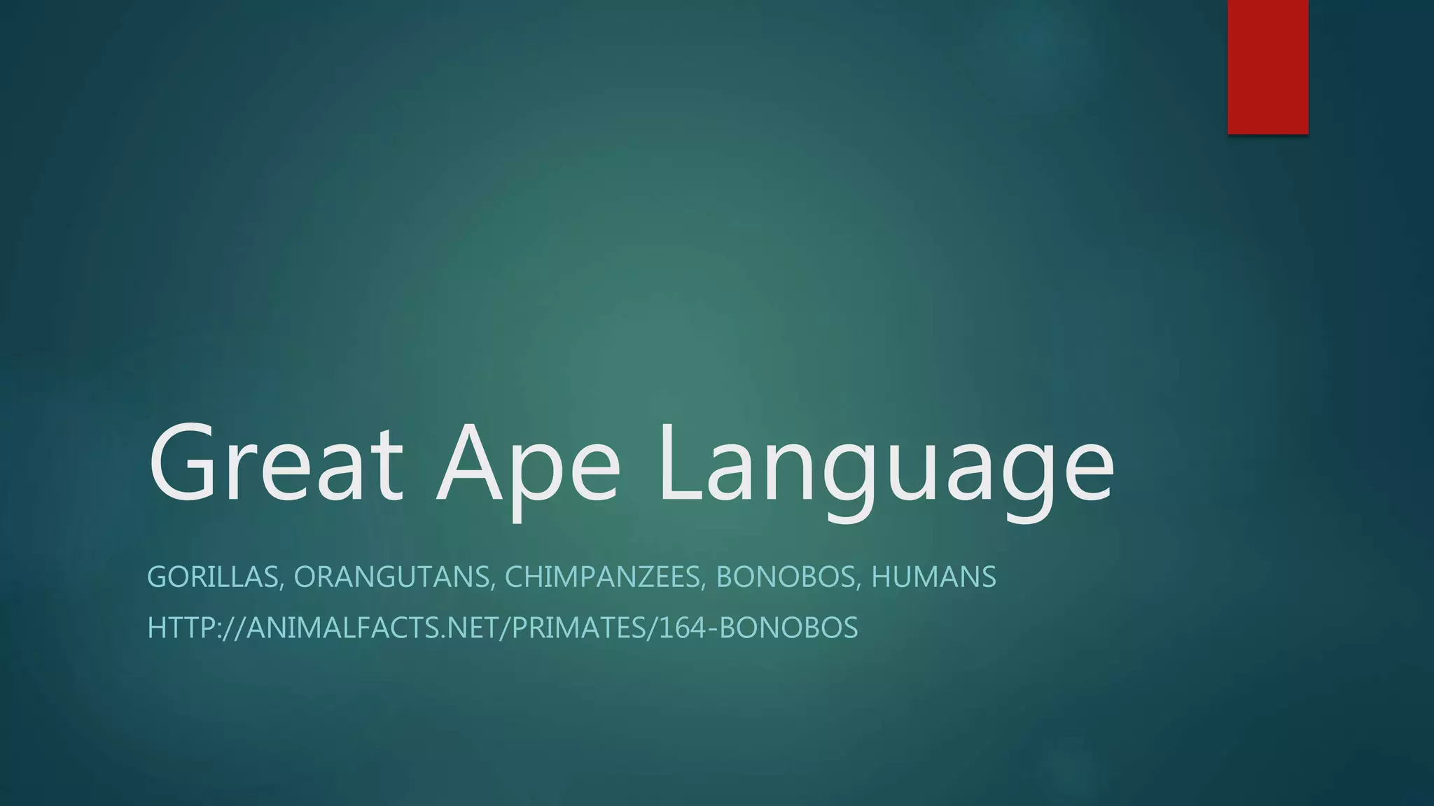Great Ape Language | PPTX