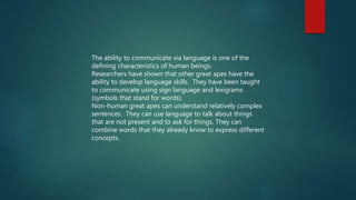 Great Ape Language | PPTX
