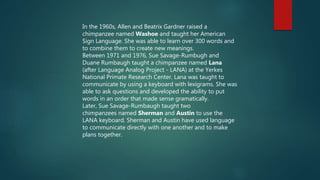 Great Ape Language | PPTX