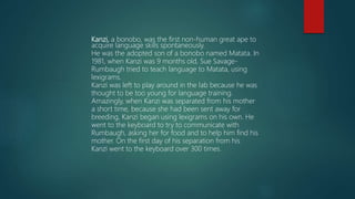 Great Ape Language | PPTX