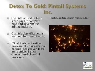 Detox t to gold 2 short version | PDF