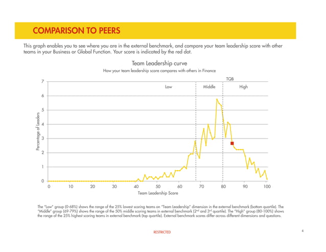 Shell Leadership Pulse 2015 | PDF