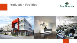 EF Company Profile 2016 - EN | PPTX