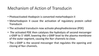 3 Fat soluble vitamins.pptx