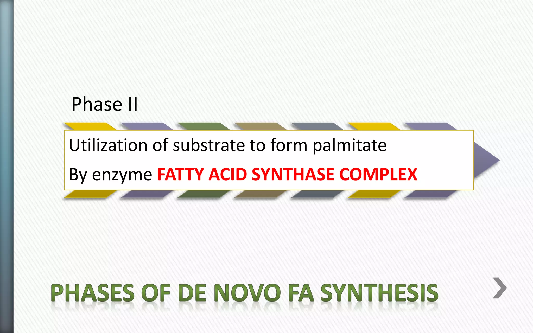 3 Fatty acid synthesis.pptx