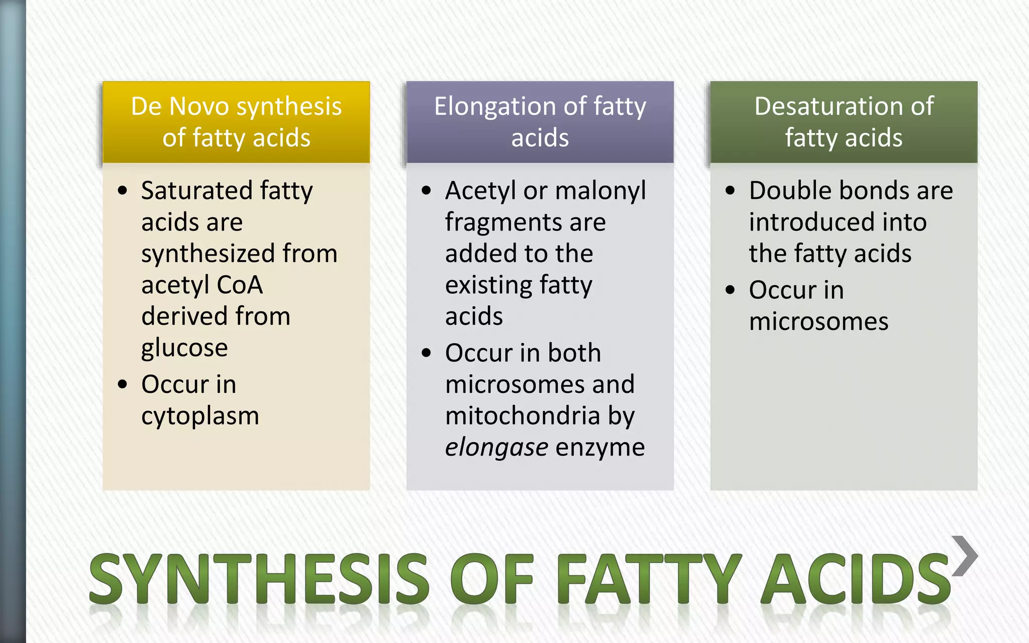 3 Fatty acid synthesis.pptx