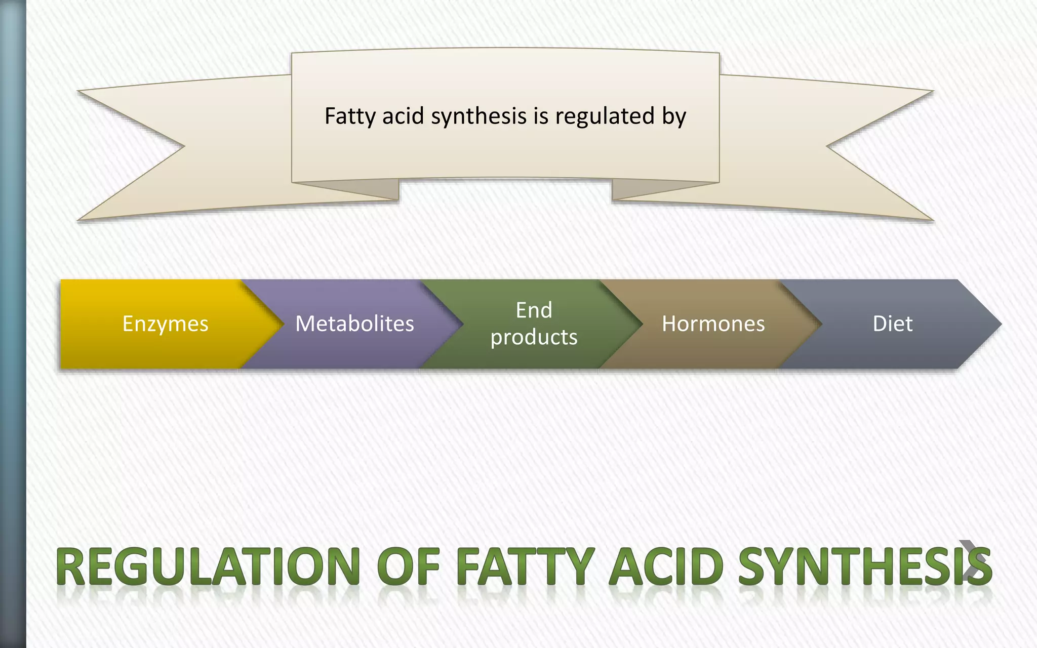 3 Fatty acid synthesis.pptx
