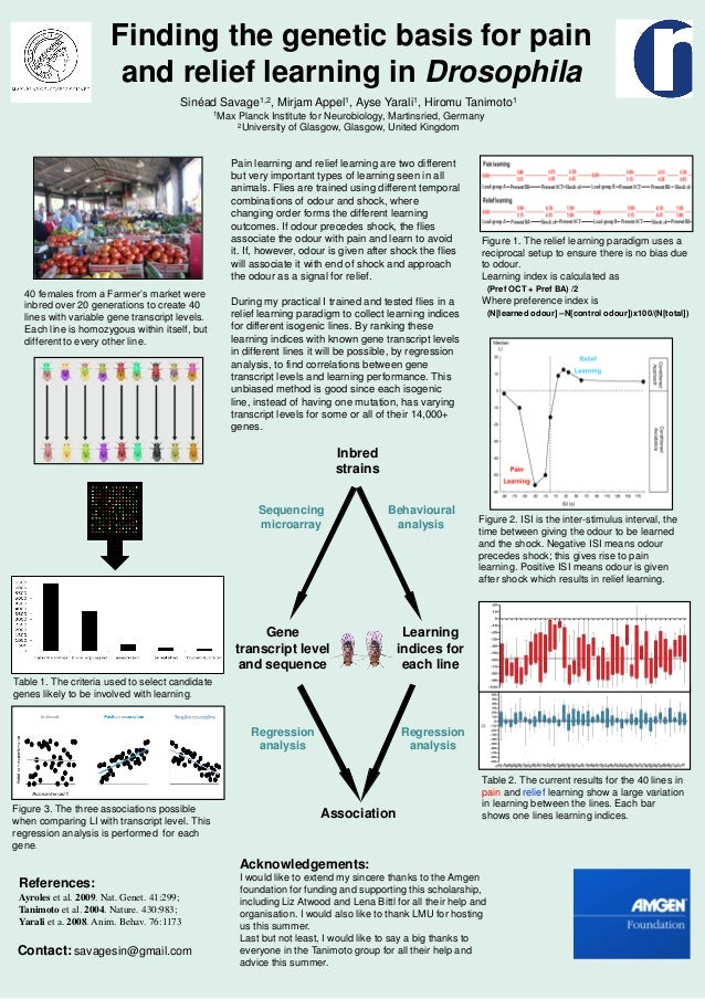 Finished Cambridge poster