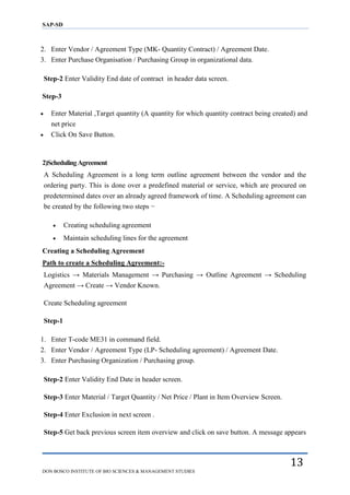 SAP SD Dissertation | PDF