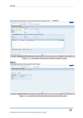 SAP SD Dissertation | PDF