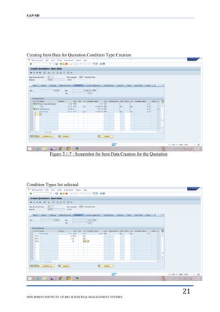 SAP SD Dissertation | PDF