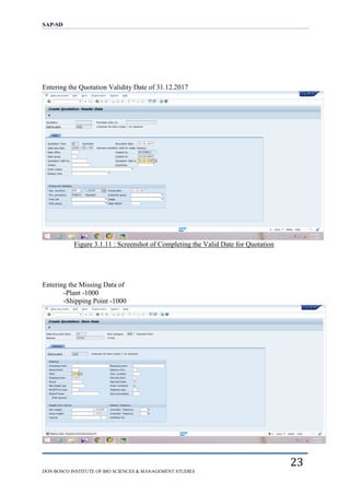 SAP SD Dissertation | PDF