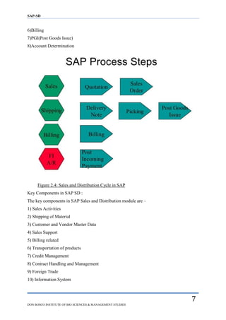 SAP SD Dissertation | PDF