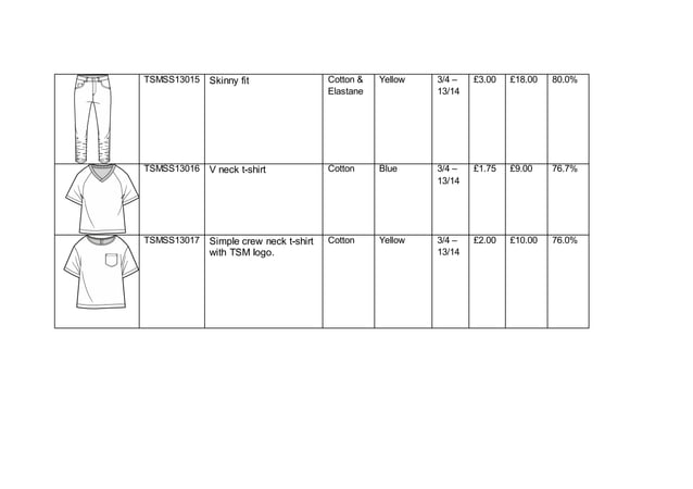 TSM SS13 Visual range plan | PPT