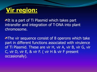 Feature of ti plasmid | PPTX