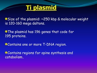 Feature of ti plasmid | PPTX