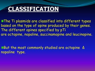 Feature of ti plasmid | PPTX