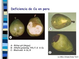 3 fertilización en cultivos frutales | PDF