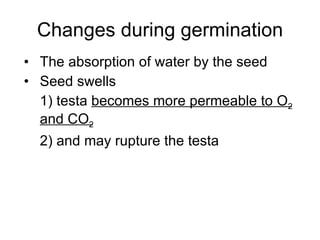 Chapter 16 Reproduction in Plants Lesson 3 - Fertilization & post ...