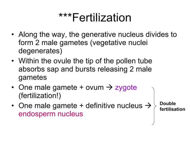 Chapter 16 Reproduction in Plants Lesson 3 - Fertilization & post fertilization changes | PPT ...